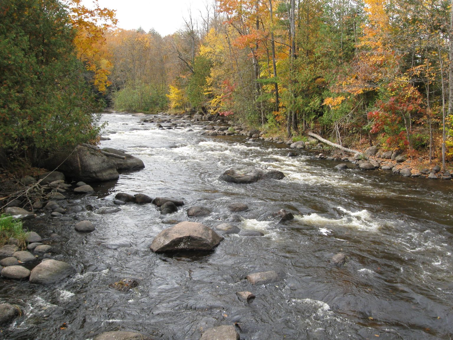 Home - Wolf River Fly Shop